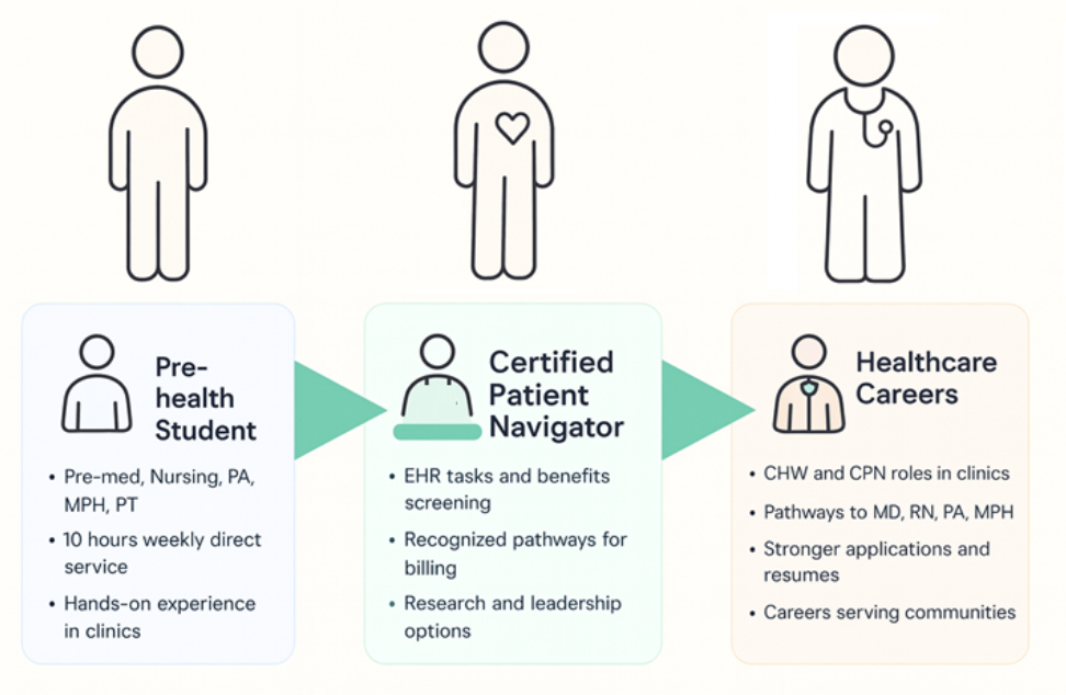 patient navigator link health – Link Health